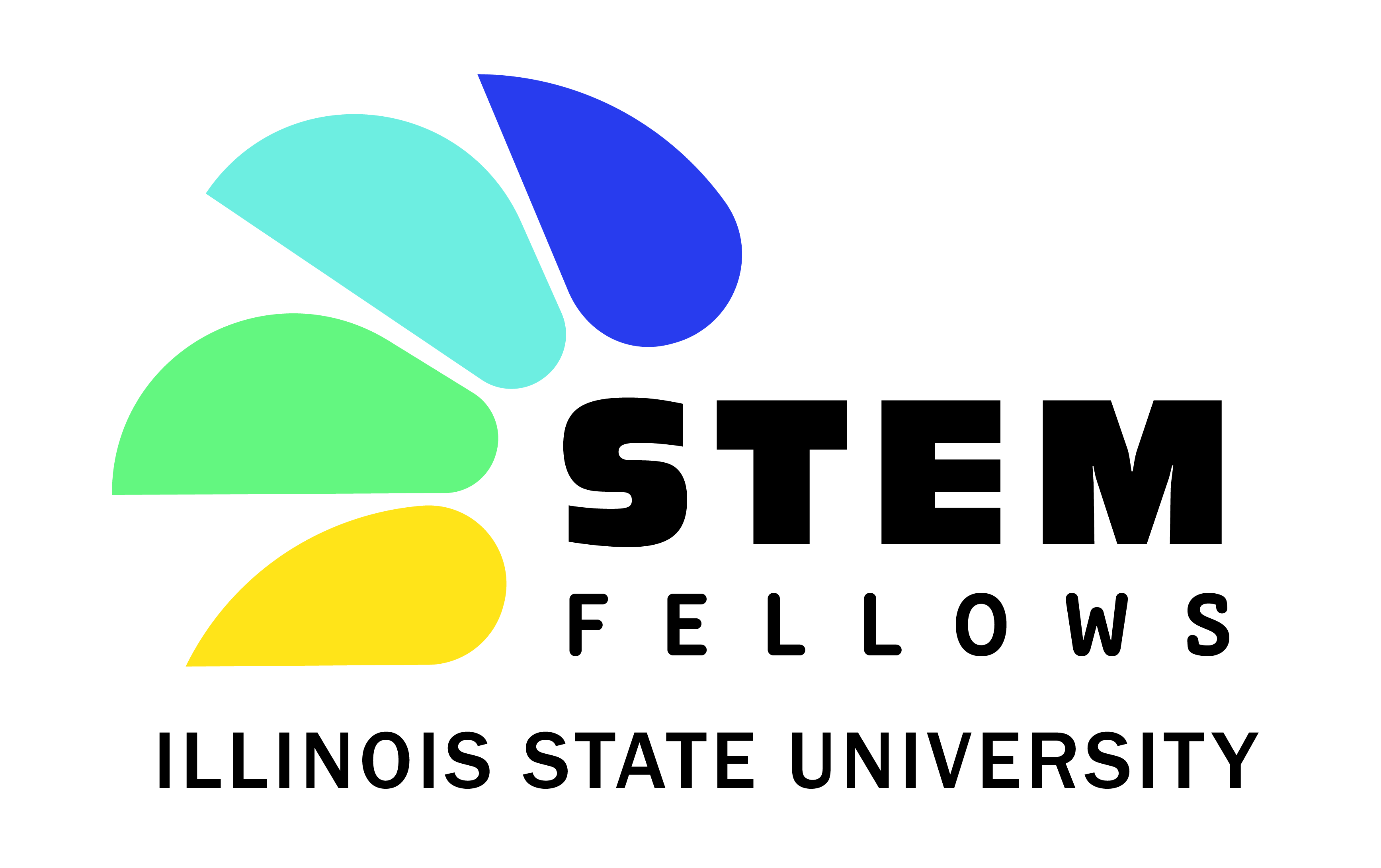 STEM Fellows | Center for Mathematics, Science, and Technology | Illinois State